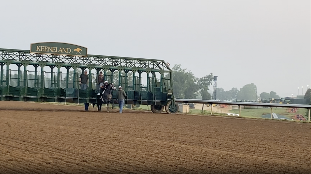 Practice in the starting gate - Redhawk Racing Club